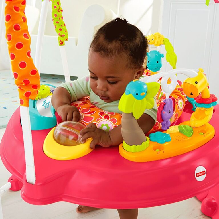 Jumperoo Pink Petals – Fisher Price – Compartkids